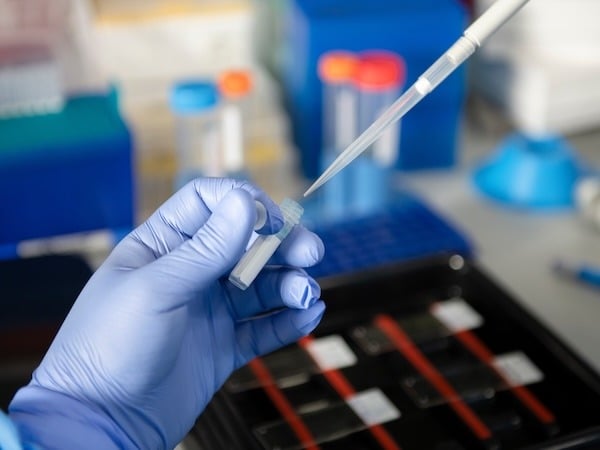 Understanding Cary-Blair Medium